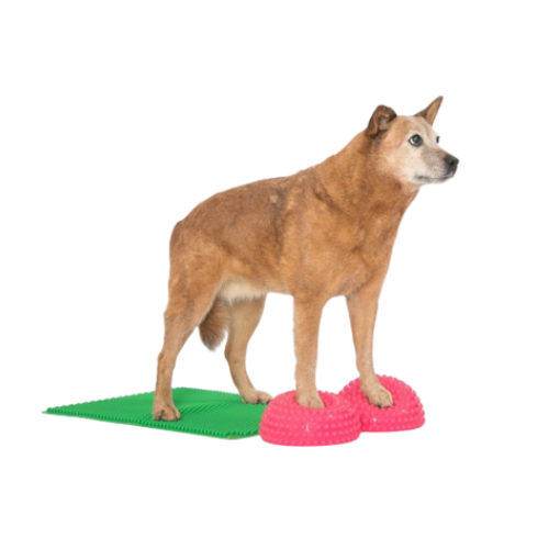 Senso balans och massage till fötterna - Togu - Varsam